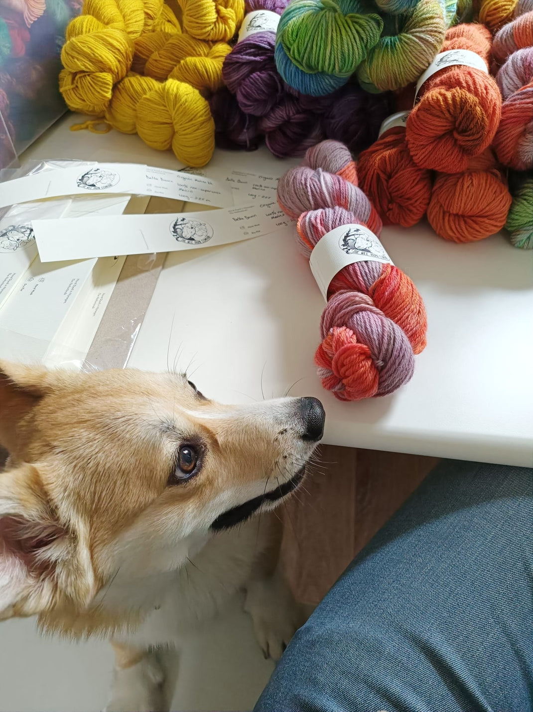 The Gay Agenda - Yaldi Yak Sock – The Wee Yarn Company